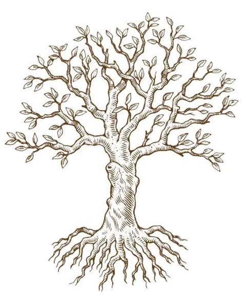 Free Tree With Roots Vector Images And Graphics Freeimages