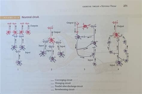 Solved Converging Circuit Diverging Circuit Parallel