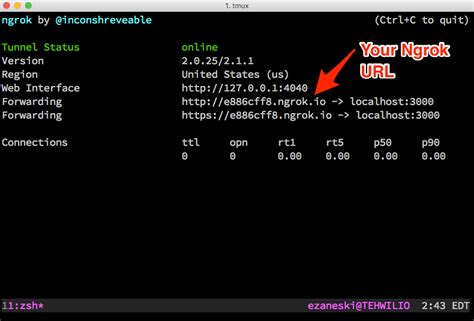 How To Receive A POST Request In Node Js Twilio