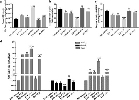 A Tissue Ros Intensity B Concentration Of Gsh C Enzyme Activity Of