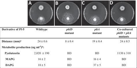 pg functions as an intercellular chemical messenger influencing