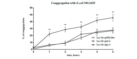 L Acidophilus Co Aggregation Assay With E Coli Mg1655 Download Scientific Diagram