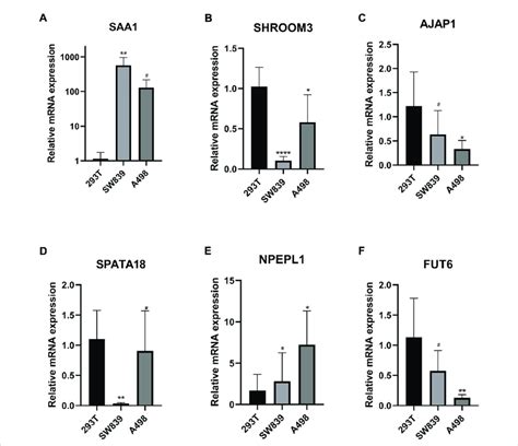 A F Validation Of The Expression Levels Of The Methylation Driven