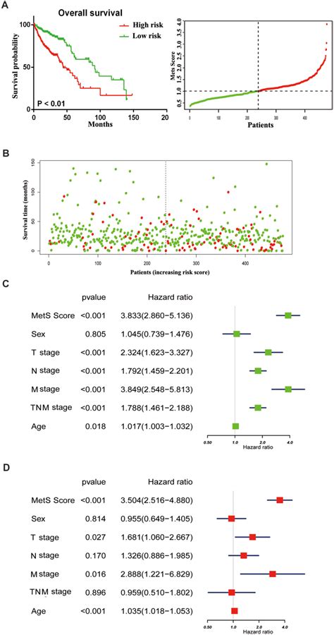 The Distribution Of Gene MetS Score In The TCGA Cohort A K M Download Scientific Diagram