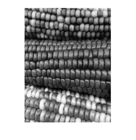 imshow display image matlab