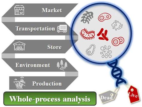 Pcr Mediated Nucleic Acid Molecular Recognition Technology For Detection Of Viable And Dead