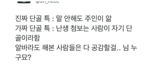 배달 주문할 때 거짓말 하면 안되는 이유 밈하우스