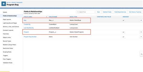 junction object in salesforce panther schools
