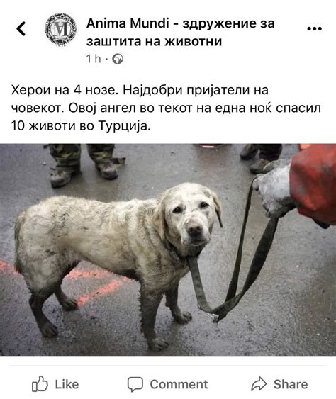 Нешо On Twitter Она кога АнимаМунди ќе ја изгубат навиката за лична хигијена