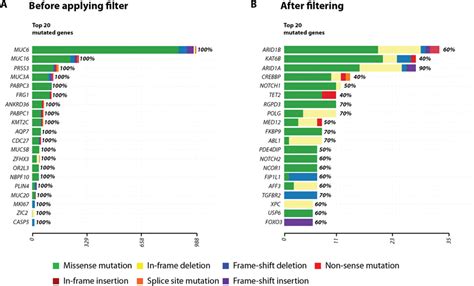 Custom Filtering Of Putative False Positive Mutations The Top 20