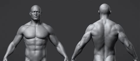 Male Body Reference For 3d Modeling