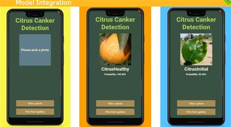 An Android App Built Using Flutter To Detect Canker Disease In Citrus And Do Some Other Awesome