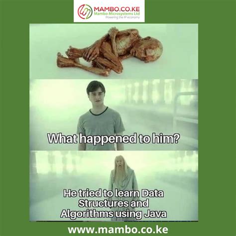 Mambo Microsystems Ltd Every Programmer Can Relate To This Tag All