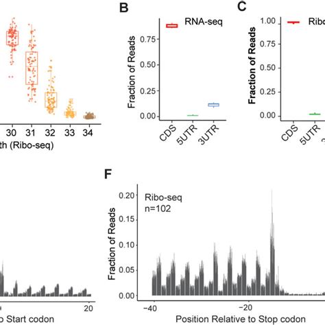 Overview Of The Transcriptome And Translatome Datasets A Length Of