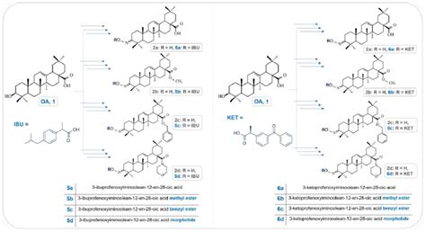 The Brief Scheme Of Synthesis And Chemical Structures Of Oleanolic Acid Download Scientific