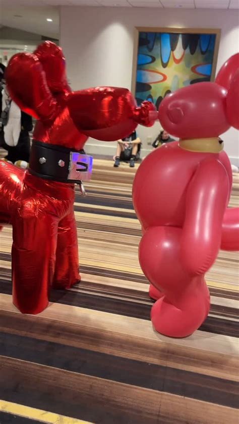 Candy Coated Squeaks Candycoatedus • Instagram Photos And Videos