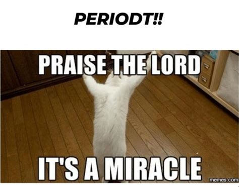 Praise The Lord Cat Meme