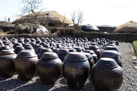 민속마을의 항아리 장독대 Onepro 사진 한국 토속적 옛스러움 장독대 항아리 단지 여행지 나무 숲 풍경 한국풍경 뚜껑 항아리뚜껑 간장 고추장