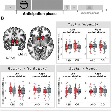 Ventral Striatum Vs Activation During The Reward Anticipation Phase Download Scientific