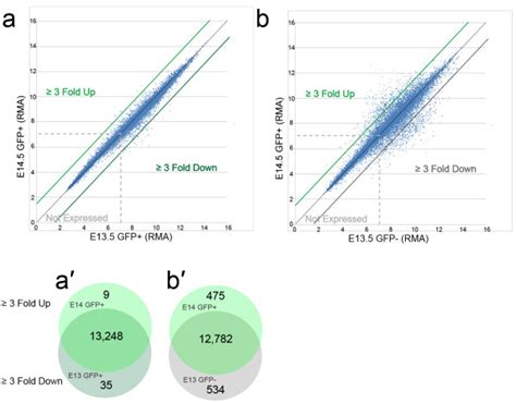 Comparison Of RMA Values Between Samples A A Comparison Of RMA Download Scientific Diagram