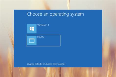 How To Remove Ubuntu From Dual Boot On Windows 11