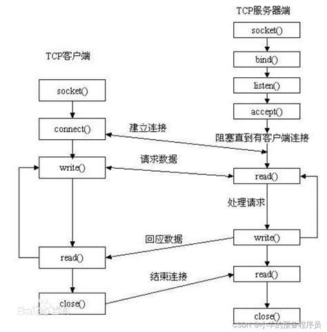 Socket编程详解 Csdn博客