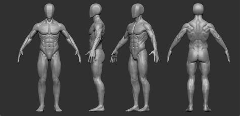 Male Base Mesh WIP Feedback Wanted R ZBrush