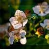 Jcrop The JQuery Image Cropping Plugin Best JQuery