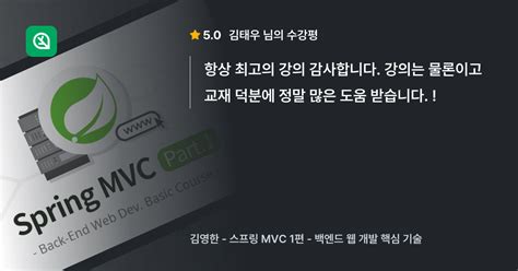 김태우님의 생생한 수강평 스프링 Mvc 1편 백엔드 웹 개발 핵심 기술 인프런 수강평