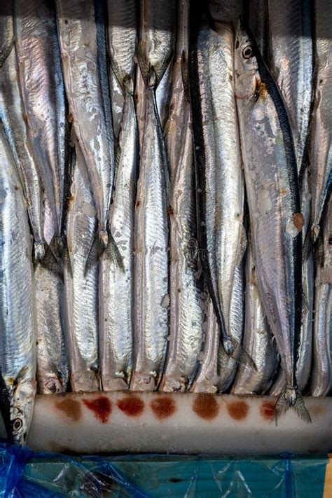Salted Sanma Fish Or Pacific Saury In A Japanese Wet Market Stock