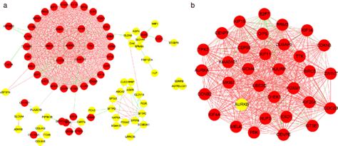Ppi Network And Module Analysis A Ppi Network Of Degs B A