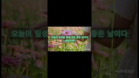 복잡한 세상 명언으로 힐링하자 쉼이 필요한 시간 바로 지금 Youtube