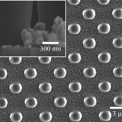 Particle Size Distribution After The Dissolution Of The Smallest