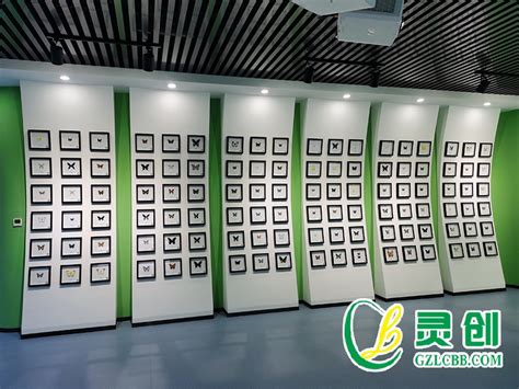 蝴蝶标本108种 广东灵创展览展示有限公司 广州灵创标本文教用品有限公司
