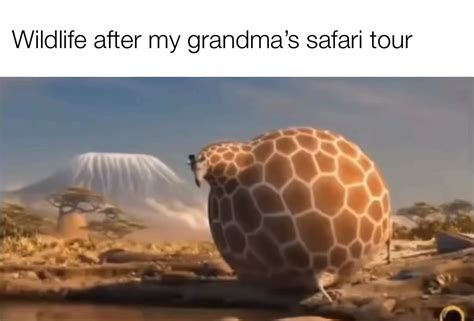 Assume Spherical Cow R Physicsmemes