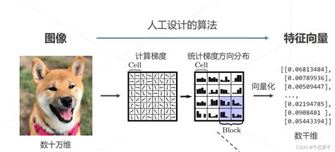 图像分类任务要点节点简述 csdn博客