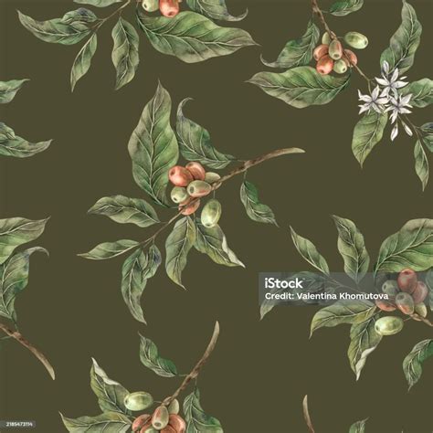 녹색 잎과 붉은 커피 과일이 있는 커피 식물 흰 꽃이 피는 잘 익은 커피 열매 상점 카페 배너 엽서 커피 포장 디자인에 대 한 녹색 배경에 수채화 완벽 한 패턴 0명에 대한