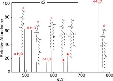 Identification Of Double Bond Position Isomers In Unsaturated Lipids By M CPBA Epoxidation And