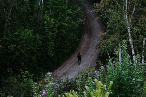 무료 이미지 나무 숲 잔디 폭포 황야 사람 소녀 도로 하이킹 꼬리 목초지 꽃 운영 혼자 산책 녹색