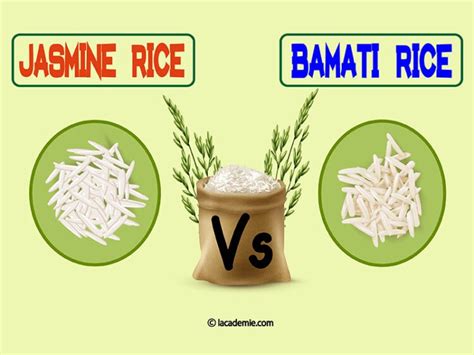 Jasmine Vs Basmati Rice Face Off