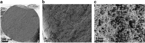 Scanning Electron Micrograph Of The Fracture Surface Of An As Tested