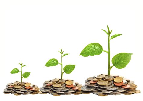 Growing Money