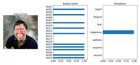 Anything Wrong With The SVM Model Of Au Detector In V0 5 0 Issue 152 Cosanlab Py Feat GitHub