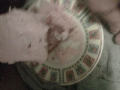 Fooddicks Tumblr Com Tumbex