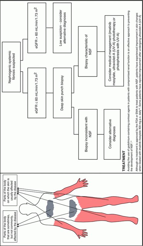 Nephrogenic Systemic Fibrosis Musculoskeletal Key