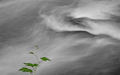 Remaining Relevant In An Ai Age — The Continuum