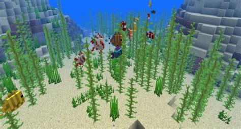 How To Spawn Tropical Fish In Minecraft AlfinTech Computer How To Spawn Tropical Fish In Minecraft AlfinTech Computer