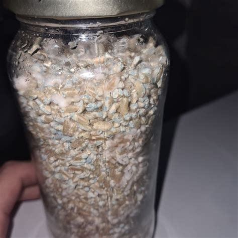 [actives] Does This Look Like Contamination R Mushroomgrowers