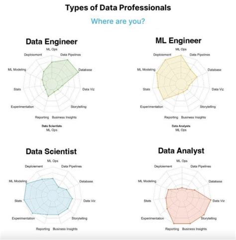 Dataengineer Mlengineer Datascientist Dataanalyst Samuel
