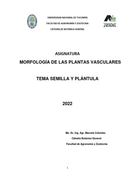 11 Semilla Y Plantula 2022 Pdf Germinación Semilla